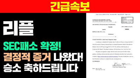 긴급속보 리플 Sec패소 확정 결정적 증거 나왔다 승소 축하드립니다 리플코인전망 리플코인호재 리플전망 리플코인 리플 Youtube
