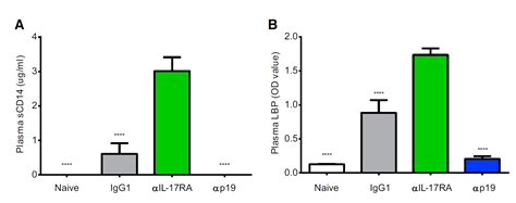α IL23 not α IL17 antibody blockade shows protection in IBD model