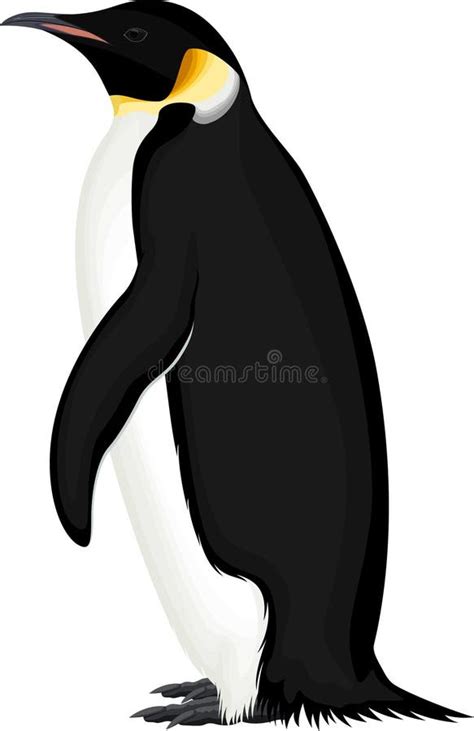 Família Do Pinguim De Imperador Ilustração do Vetor Ilustração de