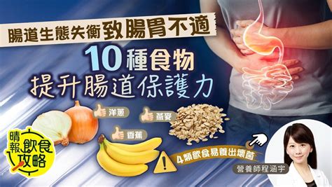 飲食攻略︳腸道生態失衡致腸胃不適 10種食物提升腸道保護力 晴報 健康 飲食與運動 D220926