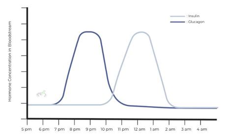 Endocrine Hormones Antagonistic Hormone Pairs On The Mcat Medlife