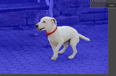 Step By Step Guide Of Make Gimp Transparent Background PNG