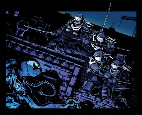 Fifth Female Teenage Mutant Ninja Turtle To Make Her Return Bounding