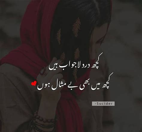 Pin Di Naqeeb Ur Rehman Su Urdu Adab