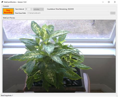 Blogs C Winforms Webcam Monitor