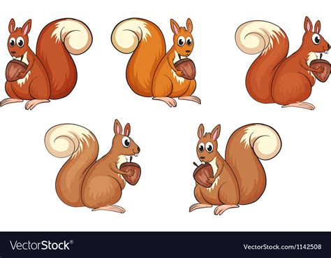 Squirrel Eating Royalty Free Vector Image Vectorstock