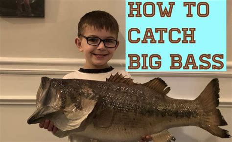 How To Catch Big Bass Hookdonbassin