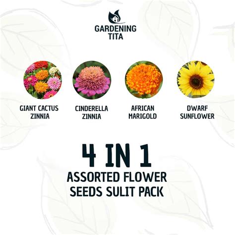 4 In 1 Assorted Flower Seeds Sulit Pack For Planting Gardening Tita