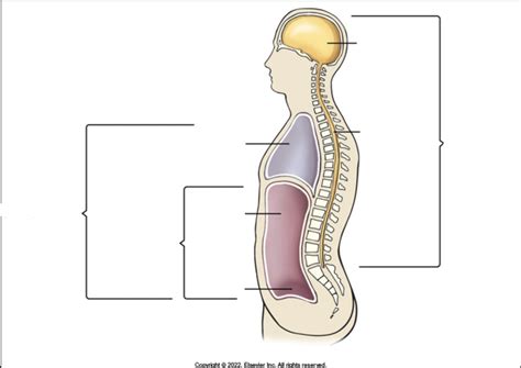 Eml Chapter 2 Diagram B Diagram Quizlet
