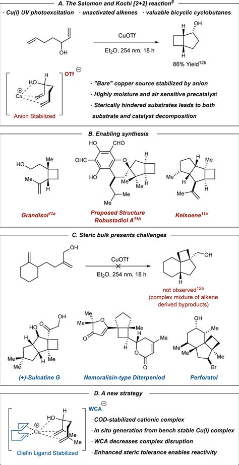 Olefin Supported Cationic Copper Catalysts For Photochemical Synthesis Of Structurally Complex