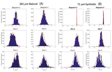 Simultaneous Measurement Of Turbulence And Particle Kinematics Using Flow Imaging Techniques