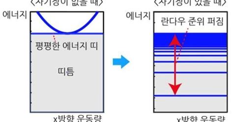 Ibs연구팀 서울대 양범정 교수 고체의 양자거리 측정 가능성 최초 제시