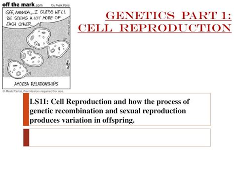 Pdf Genetics Part 1 Heredity · Genetics Part 1 Cell Reproduction