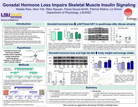Lsuhsc Research Internship Poster Ppt