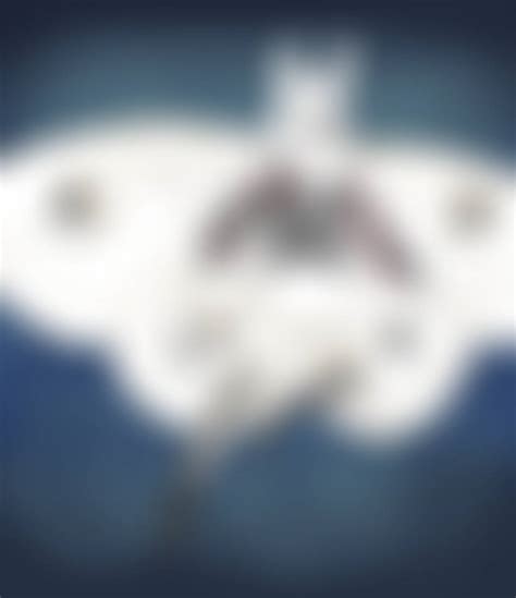 Femboi Moff By Snowelfmoon On Deviantart