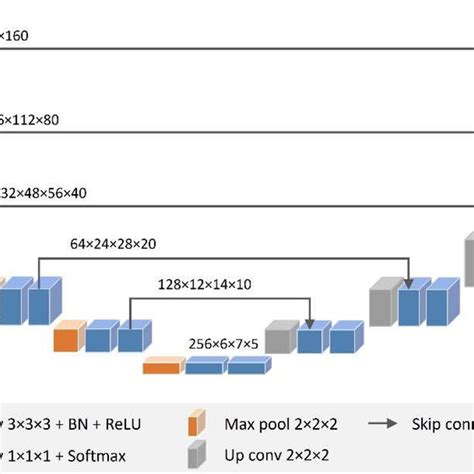 The Architecture Of The Enhanced 3d Brain Segmentation Network 3d