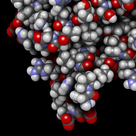 Silica Compound Sjsenturin