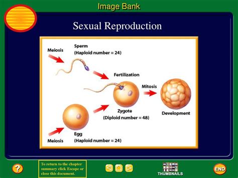 Click On One Of The Following Icons To Go To That Resource Ppt Download