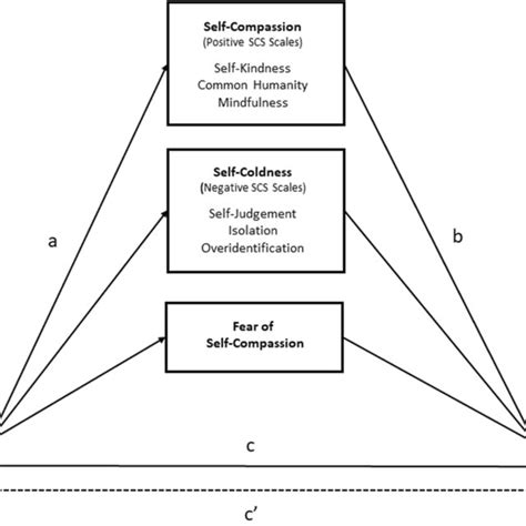 Overarching Model To Test Indirect Effects Of Self Compassion Facets