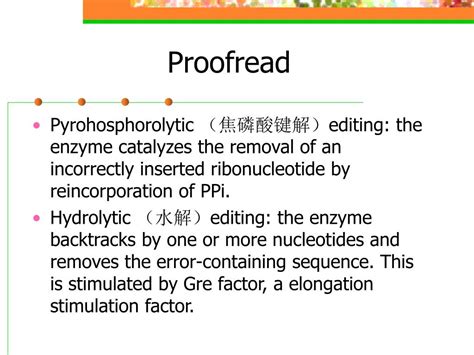 Ppt The Differences Between Transcription Dna Replication Powerpoint Presentation Id 6838287