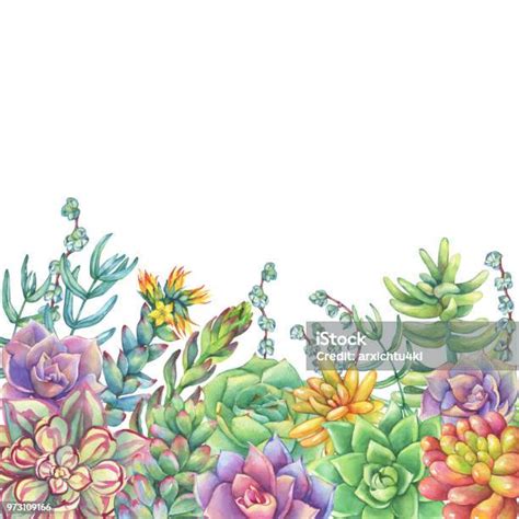 포스터 구성 잎 즙이 많은 프레임 Succulents 컬렉션입니다 수채화 손으로 그린 그림을 흰색 배경에 고립 된 그림 0명에