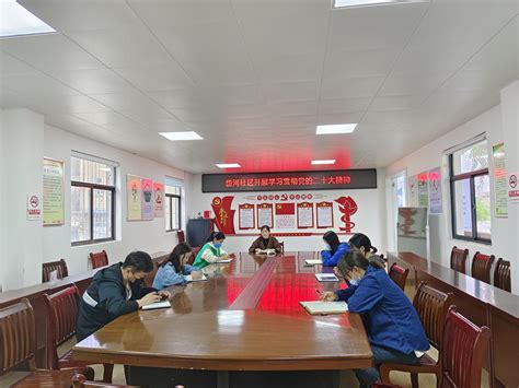 高岳街道岱河社区开展学习贯彻党的二十大精神杜集区人民政府