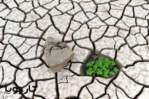 تغییر اقلیم چیست؟ به چه علت رخ می دهد؟ 4 علت مهم تغییر اقلیم