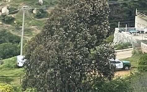 Encuentran Cadáver Masculino En Una Quebrada De Viña Del Mar