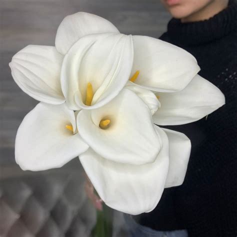 Каллы