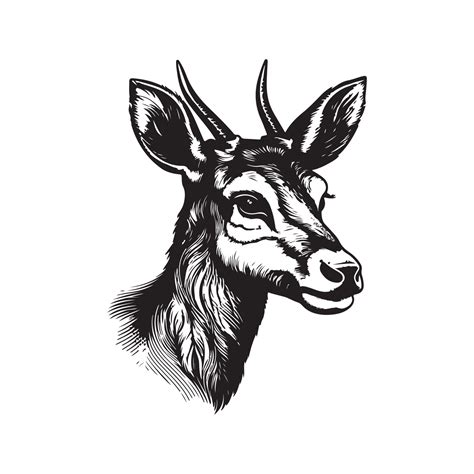 Musk Deer Vintage Logo Line Art Concept Black And White Color Hand