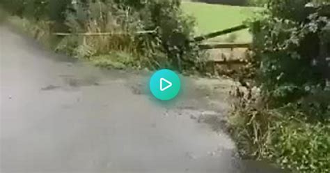 Herd Mentality Album On Imgur
