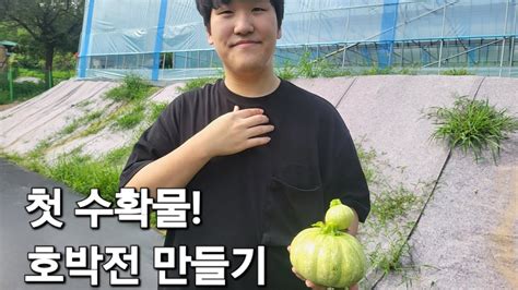 형제들의 텃밭 농부2의 텃밭에서 딴 호박으로 바삭한 호박전 완벽 레시피 공개 제이엠텍코리아 형제들의 텃밭 Youtube