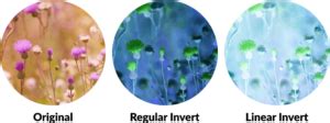 How To Invert Colors In GIMP The Complete Guide Logos By Nick