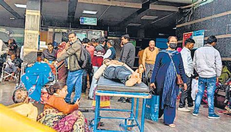 लापरवाही एम्स इमरजेंसी में इलाज न मिलने से महिला की मौत Hindustan