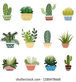 Set Cactus Succulents Pots Indoor Plants Stock Vector Royalty Free Shutterstock