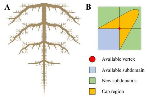 Extensions Of The Proposed Computational Framework A Morphogenesis