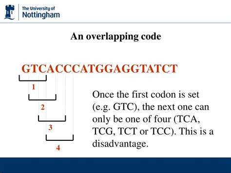 Ppt The Genetic Code Powerpoint Presentation Free Download Id9376995
