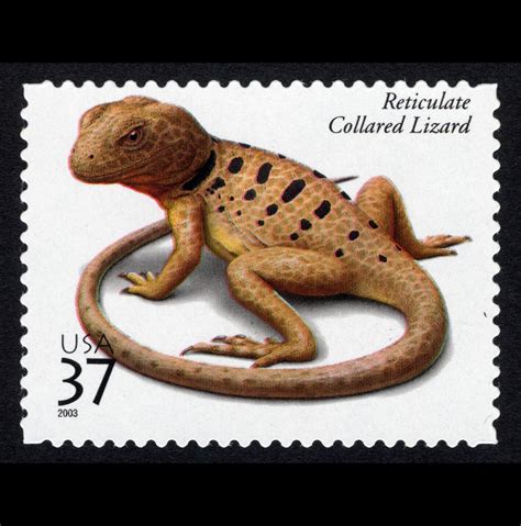 Five 5 Reticulate Collared Lizard 37c Stamps Unused Us Postage