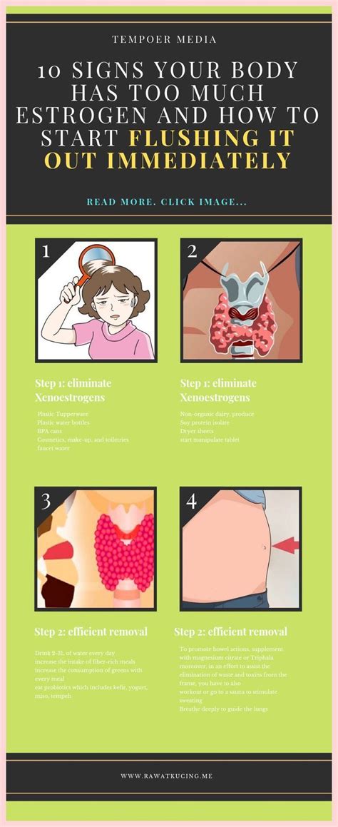 Too Much Estrogen And How To Start Flushing It Out Artofit