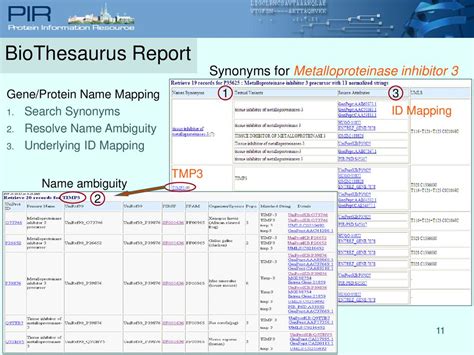 Literature Data Mining And Protein Ontology Development Ppt Download
