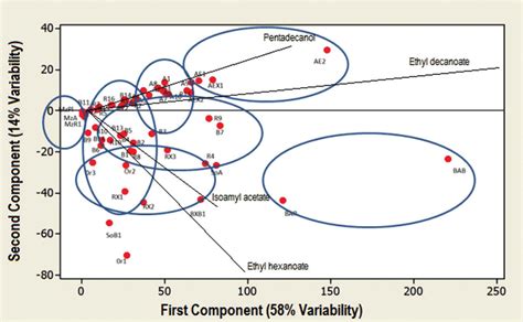 Principal Component Analysis For The Chemical Profile Of Tequila And
