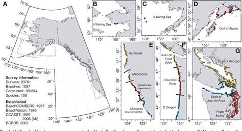 Figure 1 From Marine Bird Mass Mortality Events As An Indicator Of The