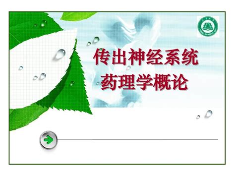 04传出神经系统药理学概论word文档在线阅读与下载无忧文档