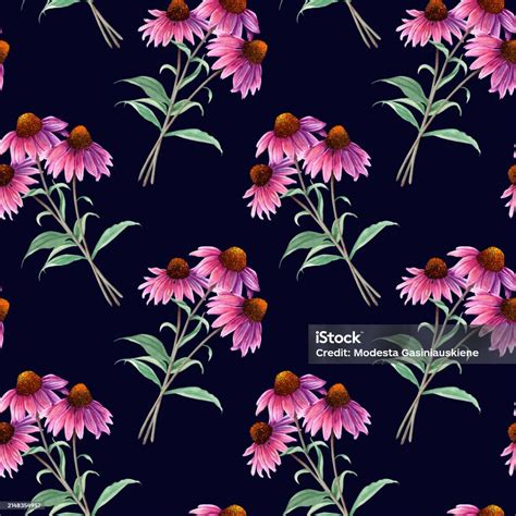 수채화 반복 완벽 한 패턴 허브 꽃 Coneflower Echinacea 벽지 직물 직물을 감싸기를 위한 손으로 그린 그림 0