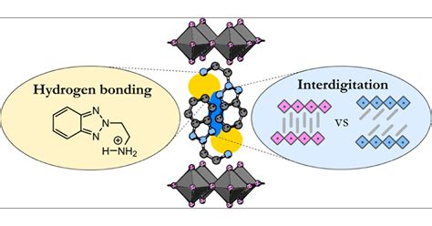 Elucidating The Non Covalent Interactions That Trigger Interdigitation