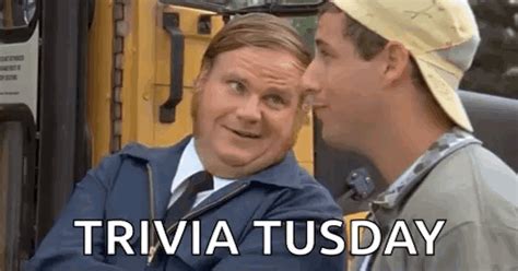 Trivia Gifs Gifdb