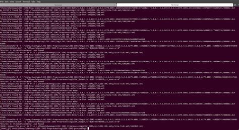 No Dicomss Found For File · Issue 1 · Mic Dkfzlidc Idri Processing