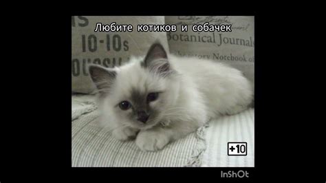 Хапи хапи хапи гача Gacha рекомендации гачалайф рекомендации рекомендации Youtube