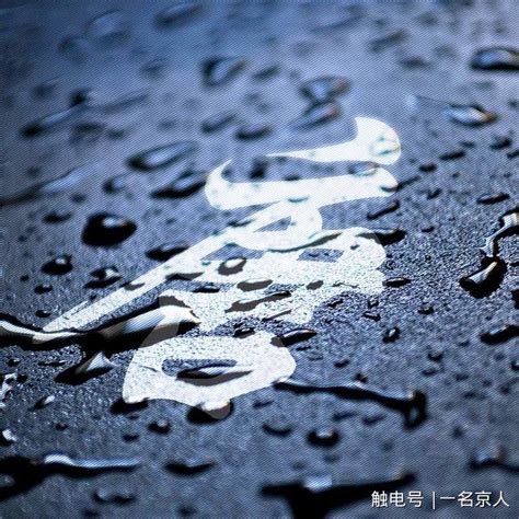 柳姓氏头像柳 柳姓图腾图片 我姓柳字头像 大山谷图库