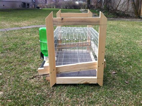 How Big Should A Quail Nesting Box Be At Madeleine Darbyshire Blog